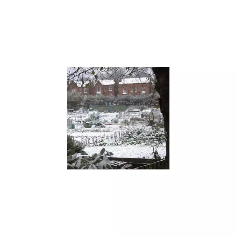 Met Office Identifies UK Regions Avoiding Monday's Snowfall - Complete ...